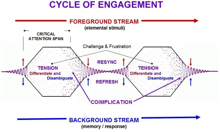 cycle schematic. - Learning Stewards