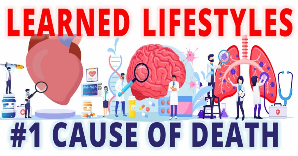 lifestyle-sm - Learning Stewards