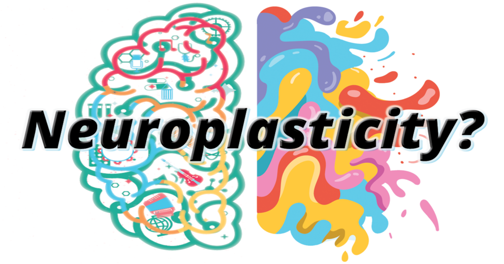 neuroplasticity - Learning Stewards