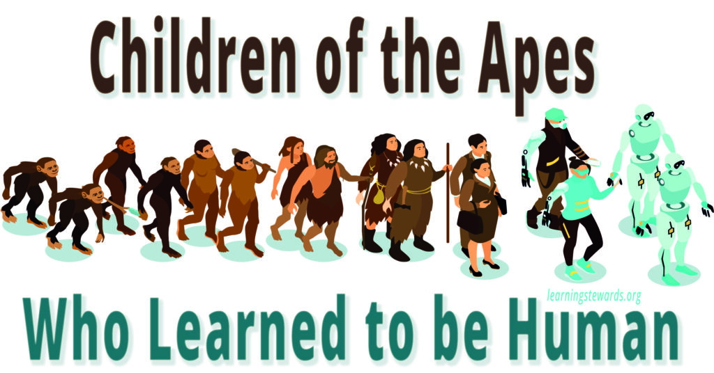 WE are Learned - Learning Stewards