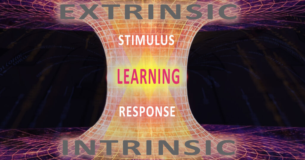Learning - stimulus-response - Learning Stewards