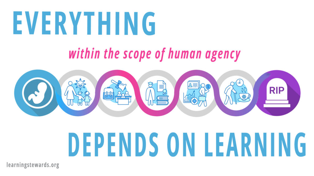 everything depends - Learning Stewards